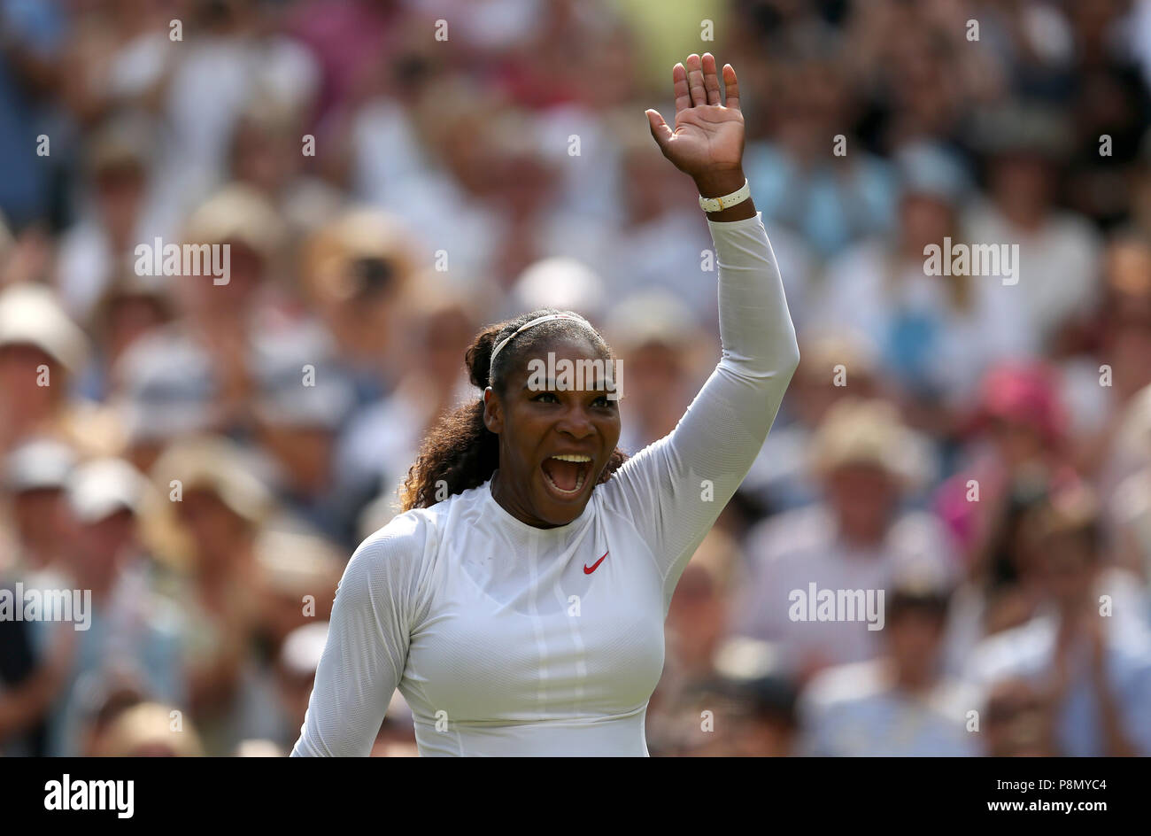 Julia Williams Sacramento