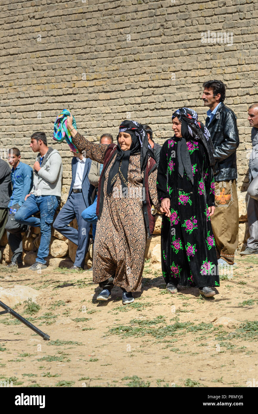 Amina Sheikh Wedding Pictures Snap