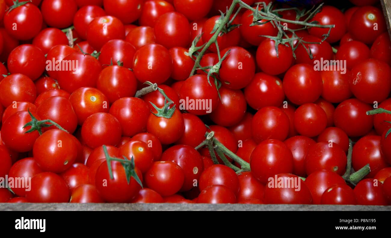 Fresh ripened tomatoes hi-res stock photography and images - Alamy