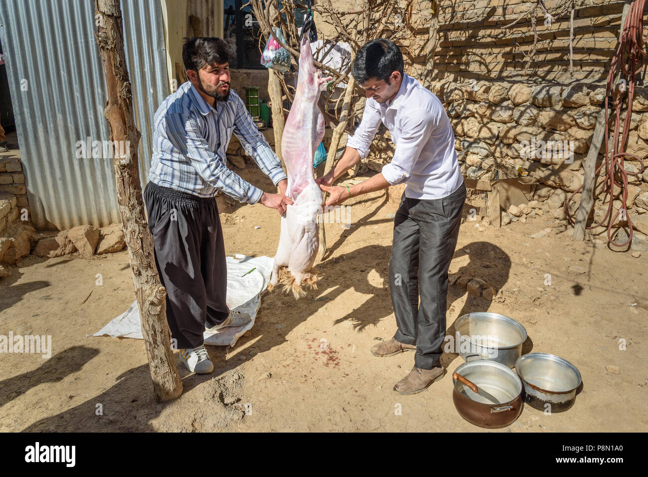 Muslim feast of the sacrifice hi-res stock photography and images - Alamy