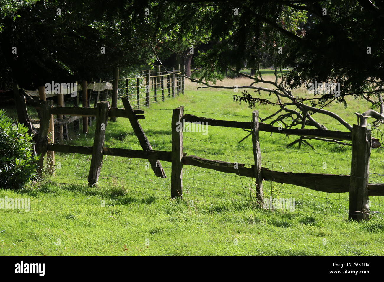 Old paddock wooden fence in the English countryside in summer Stock ...