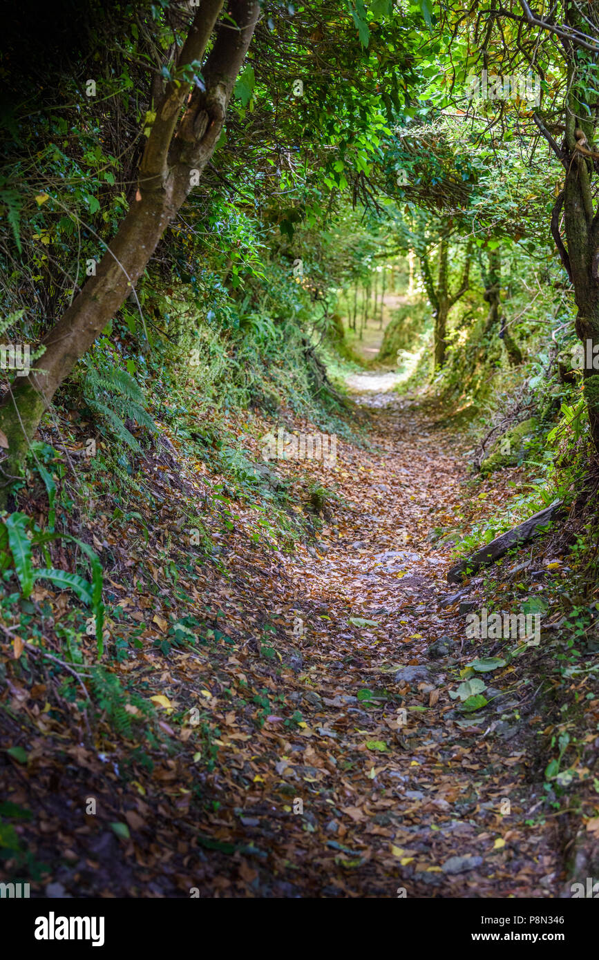 Trevellas cornwall hi-res stock photography and images - Alamy