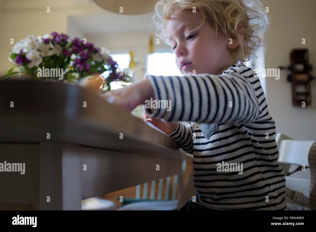 Boy at table Stock Photo - Alamy