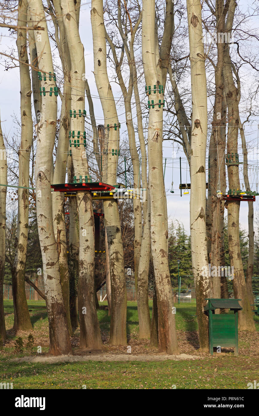 Forest Aerial Extreme Adventure Park Stock Photo - Alamy