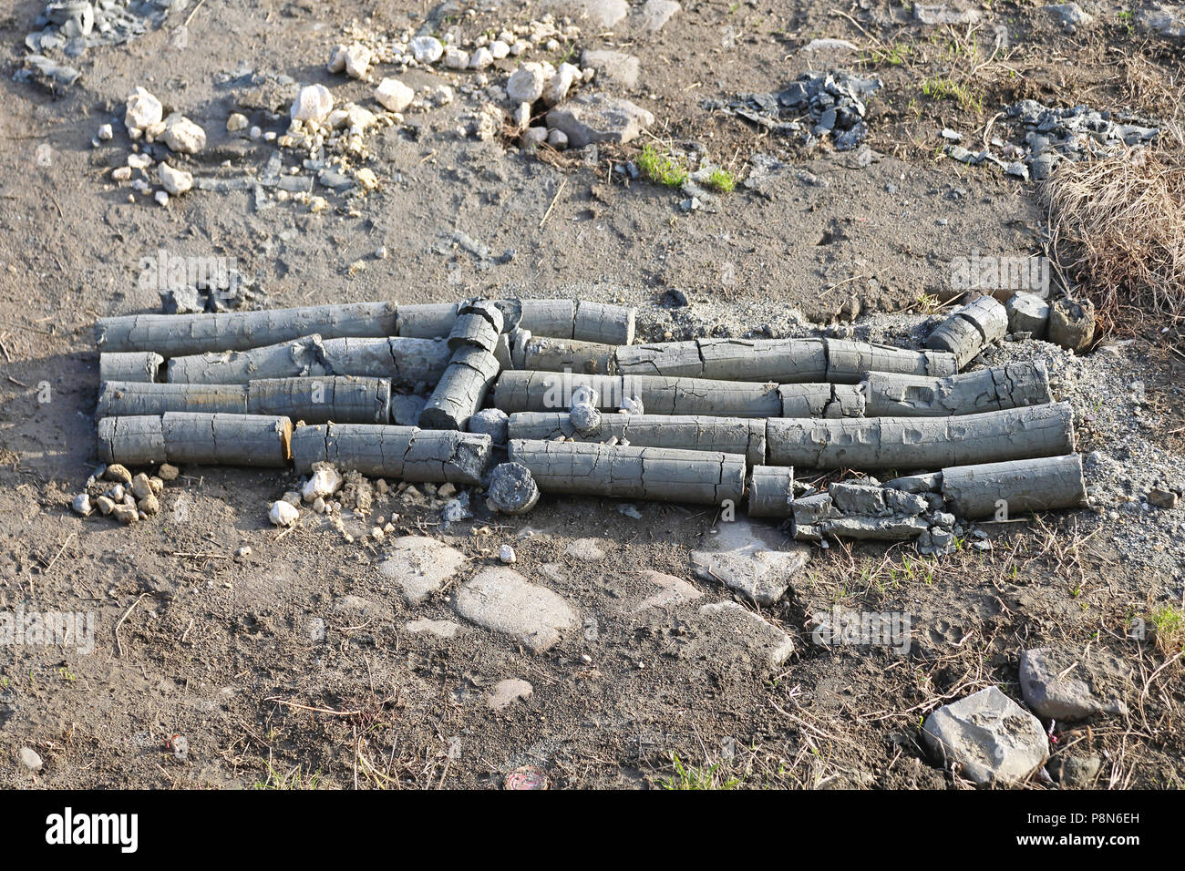 Core samples hi-res stock photography and images - Alamy