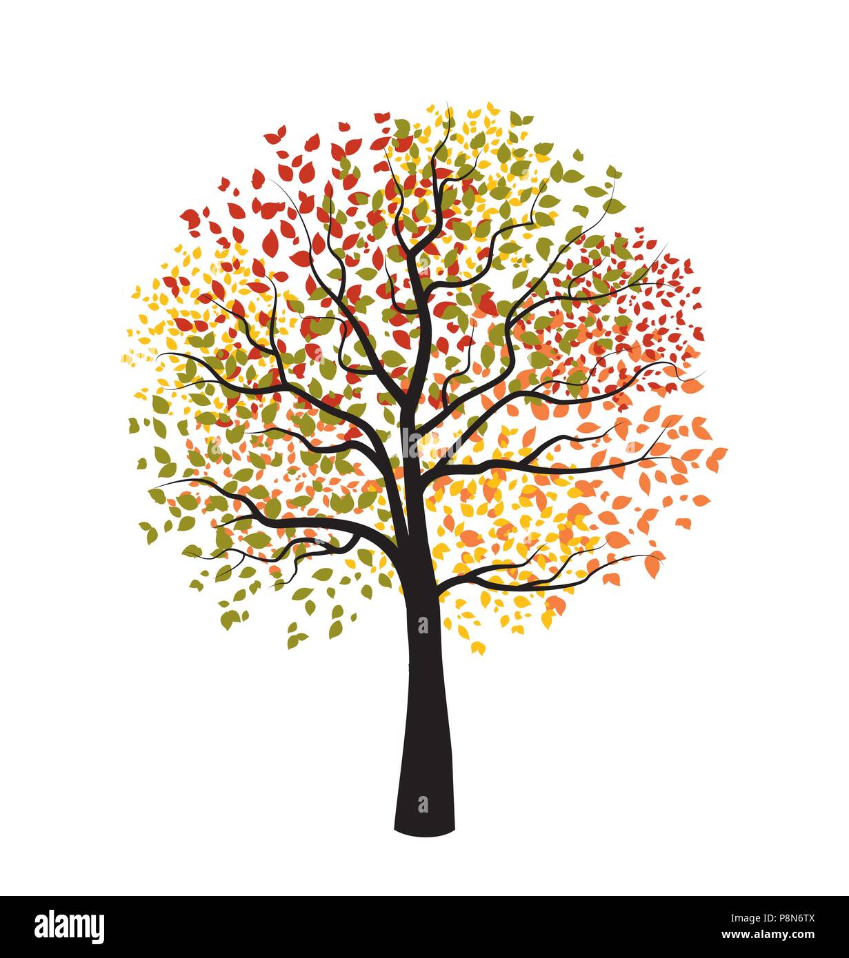 Vector illustration of autumn tree with falling leaves on a white ...