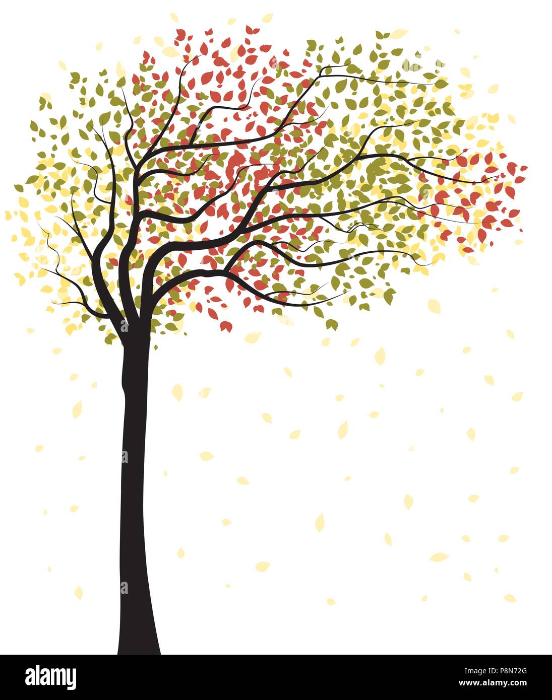 Vector illustration of autumn tree with falling leaves on a white ...