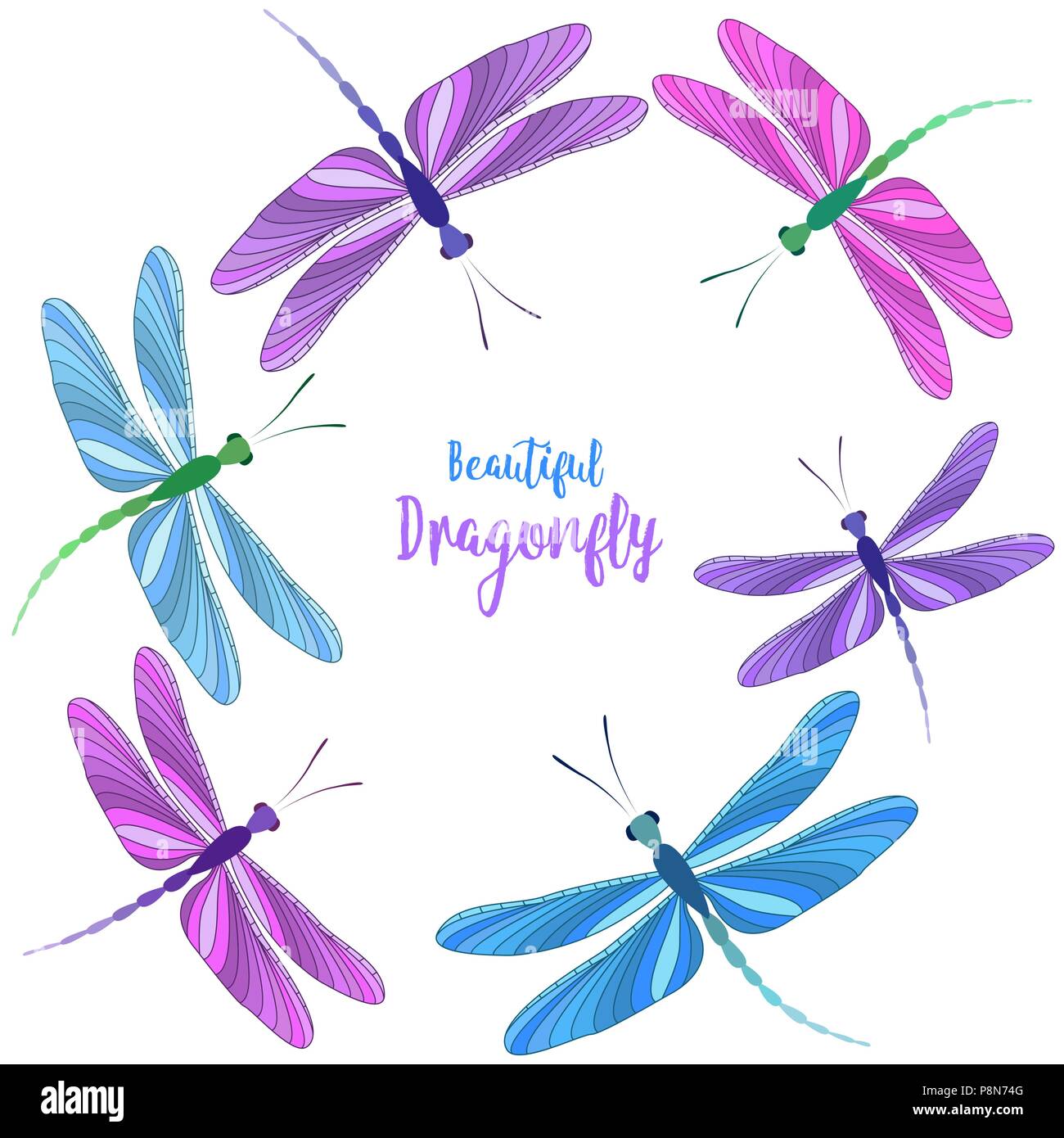 Vector illustration of dragonfly on a white background. Brightly ...