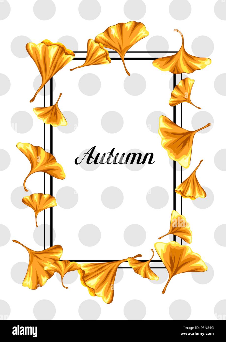 Leaves medicinal plant ginkgo Stock Vector Images - Alamy