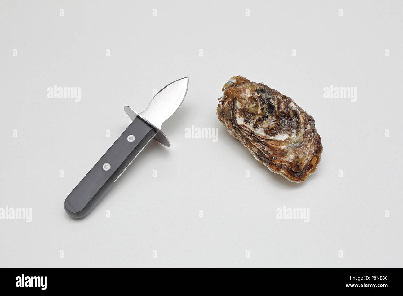 Raw oyster and special shucker knife with short blade Stock Photo - Alamy