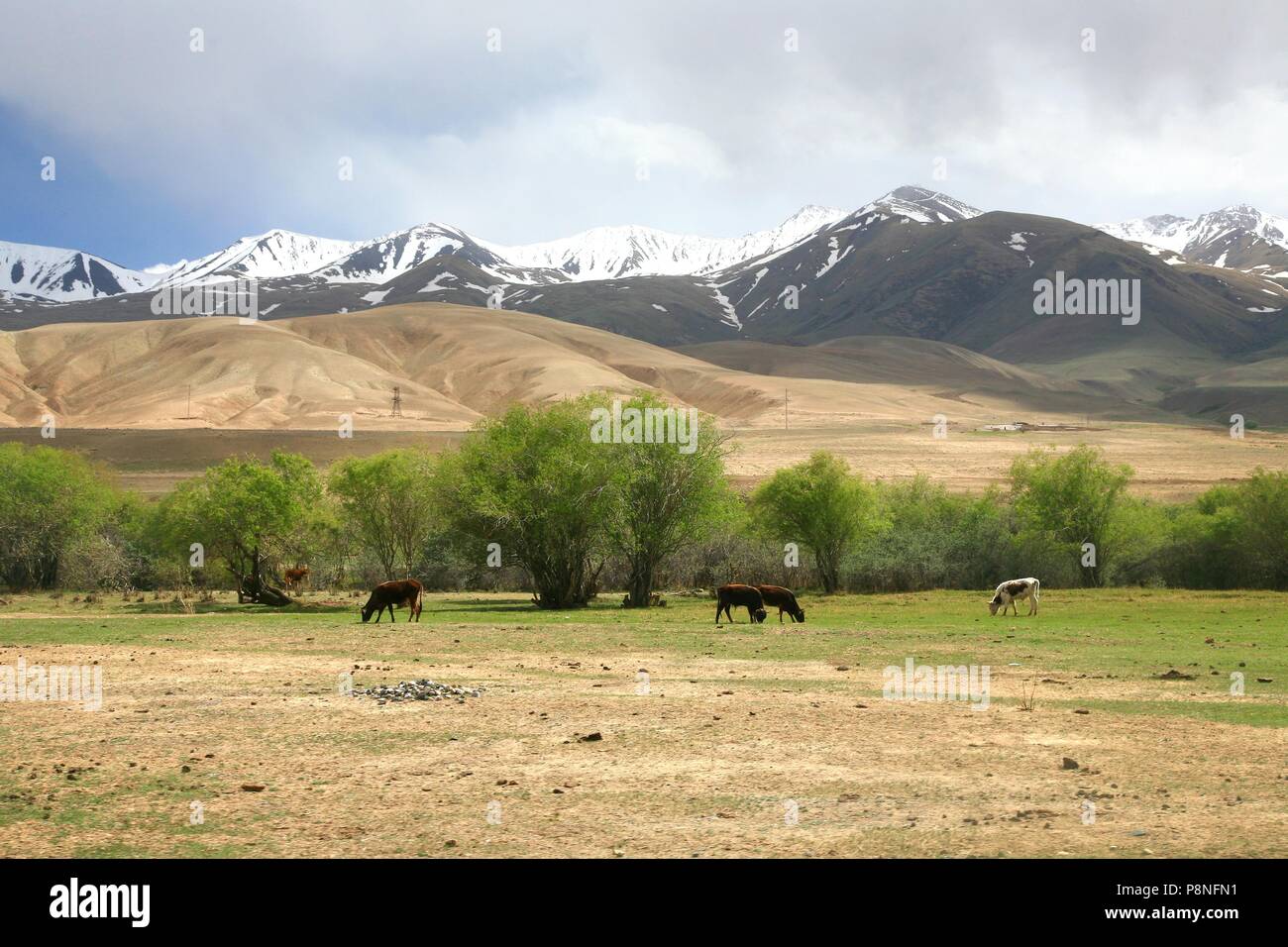 The route of beautiful scenic from Bishkek to Naryn city of Kyrgyzstan ...