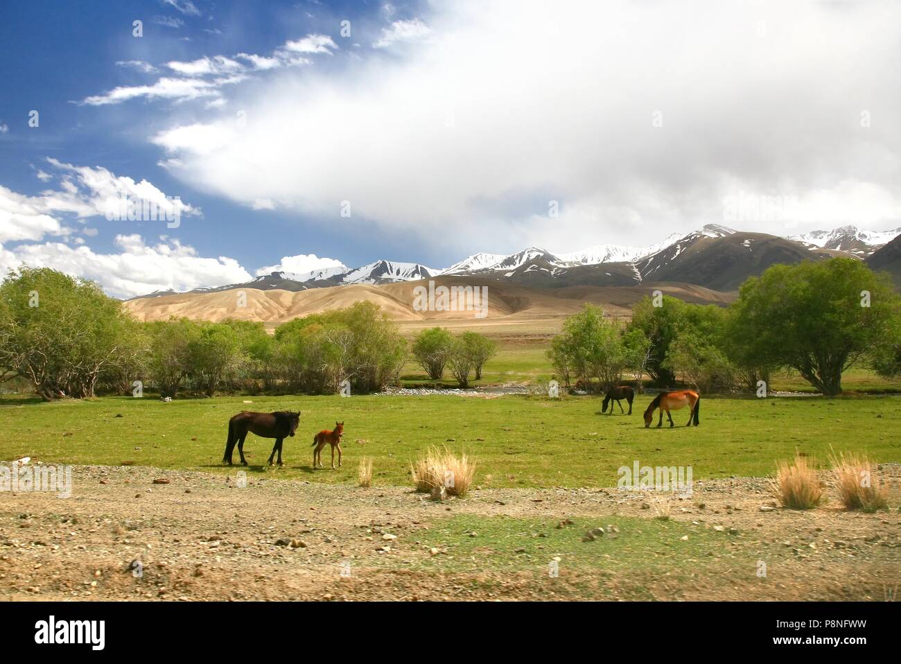 The route of beautiful scenic from Bishkek to Naryn city of Kyrgyzstan ...