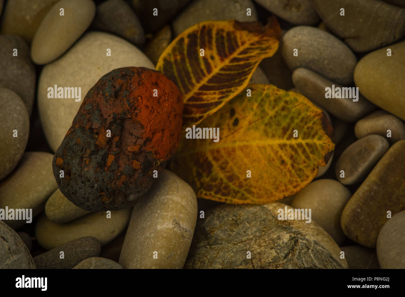 boulders and colorful pebbles on the beach on a warm summer day Stock ...
