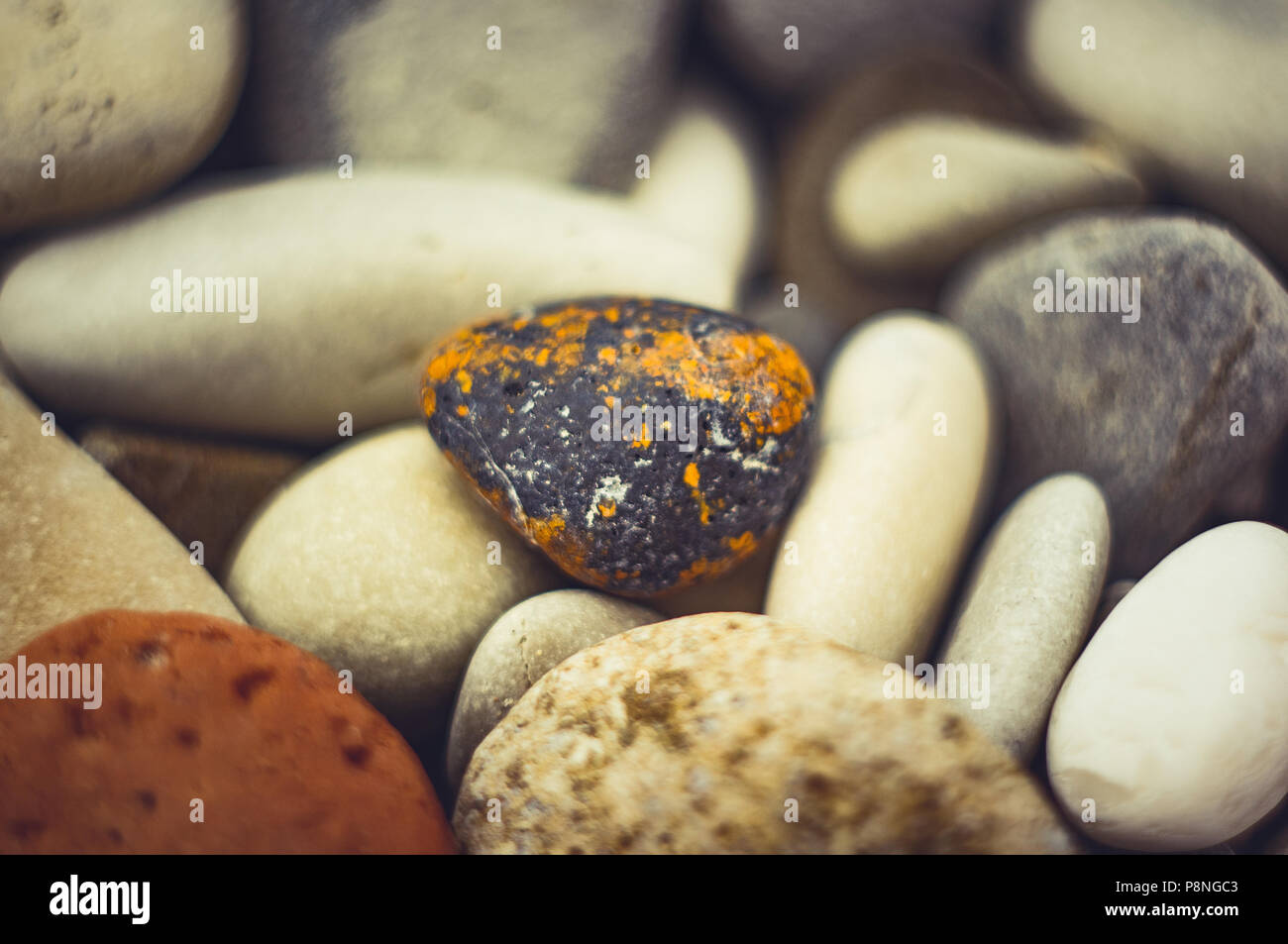 boulders and colorful pebbles on the beach on a warm summer day Stock ...