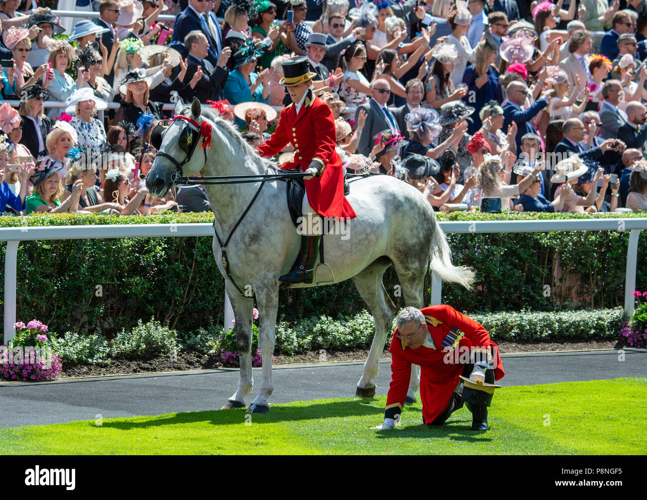 Parade ring ascot hi-res stock photography and images - Alamy