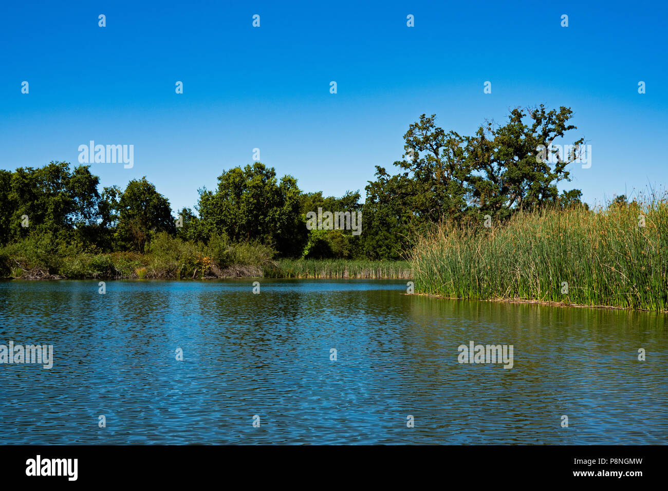 Kayaking on the Mokelumne River, California Stock Photo - Alamy
