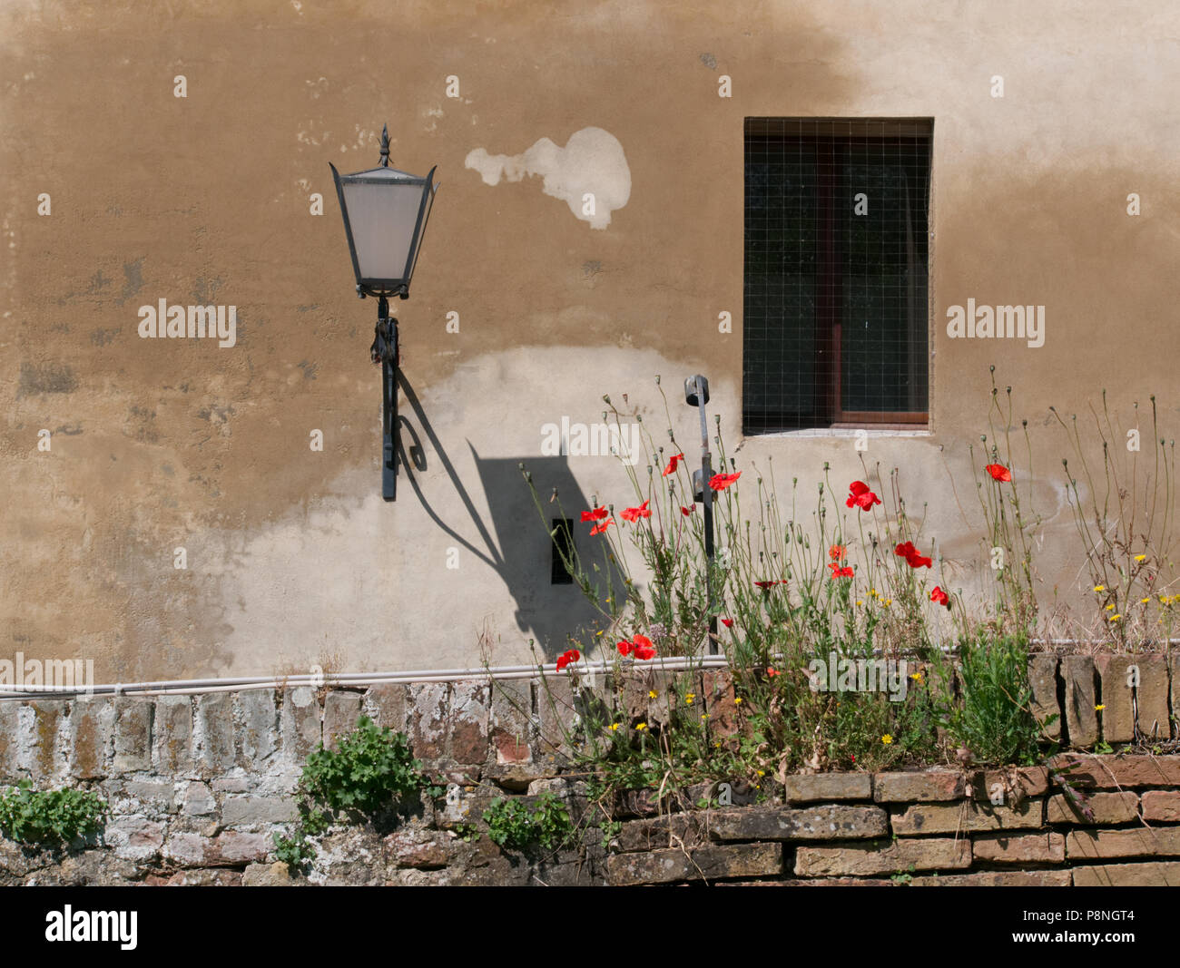 Palio siena flag hi-res stock photography and images - Alamy