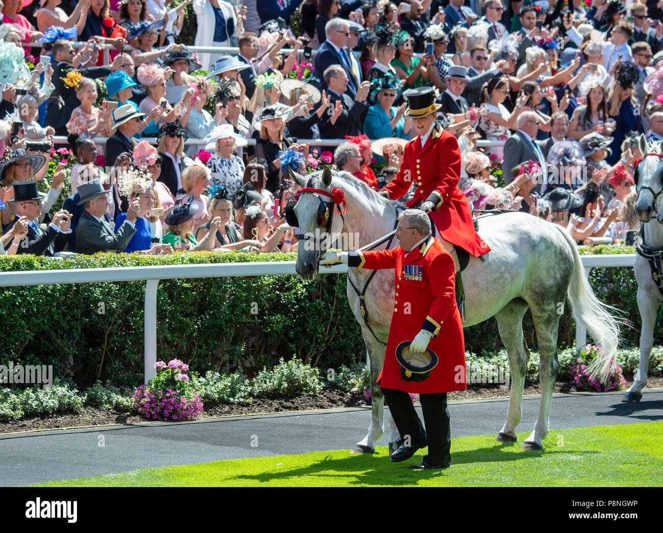 Royal footman tumbles as he leads the Royal procession into the parade ...
