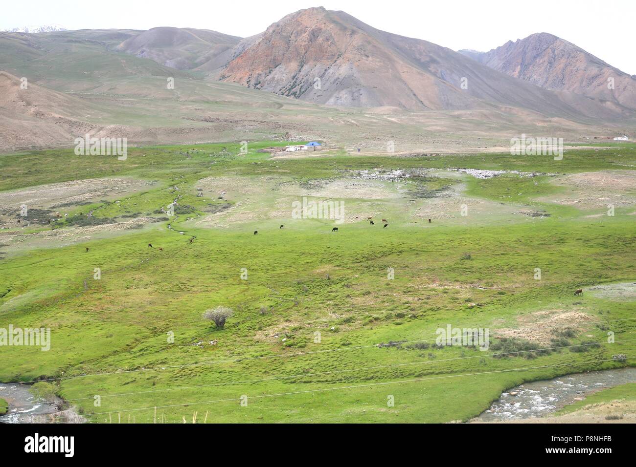 The route of beautiful scenic from Bishkek to Naryn city of Kyrgyzstan ...