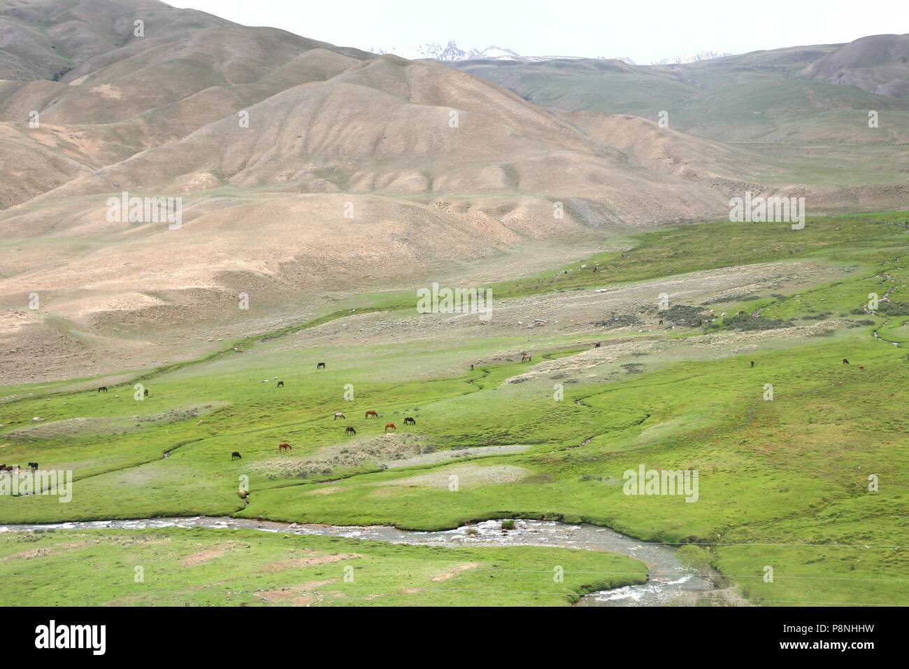The route of beautiful scenic from Bishkek to Naryn city of Kyrgyzstan ...