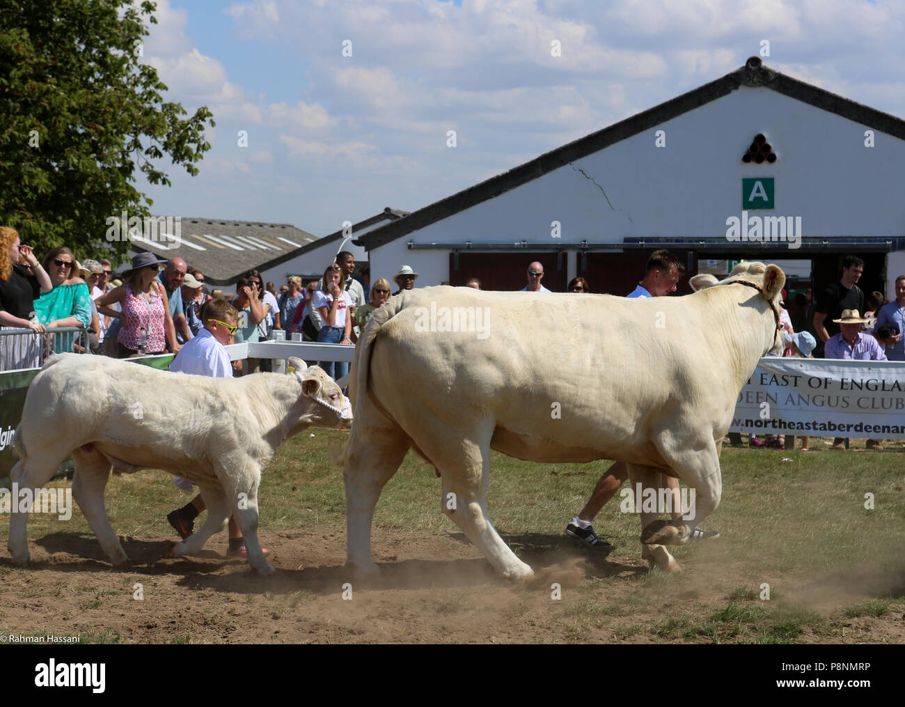THE GREAT YORKSHIRE SHOW, July,2018 The Great Yorkshire Show is an ...