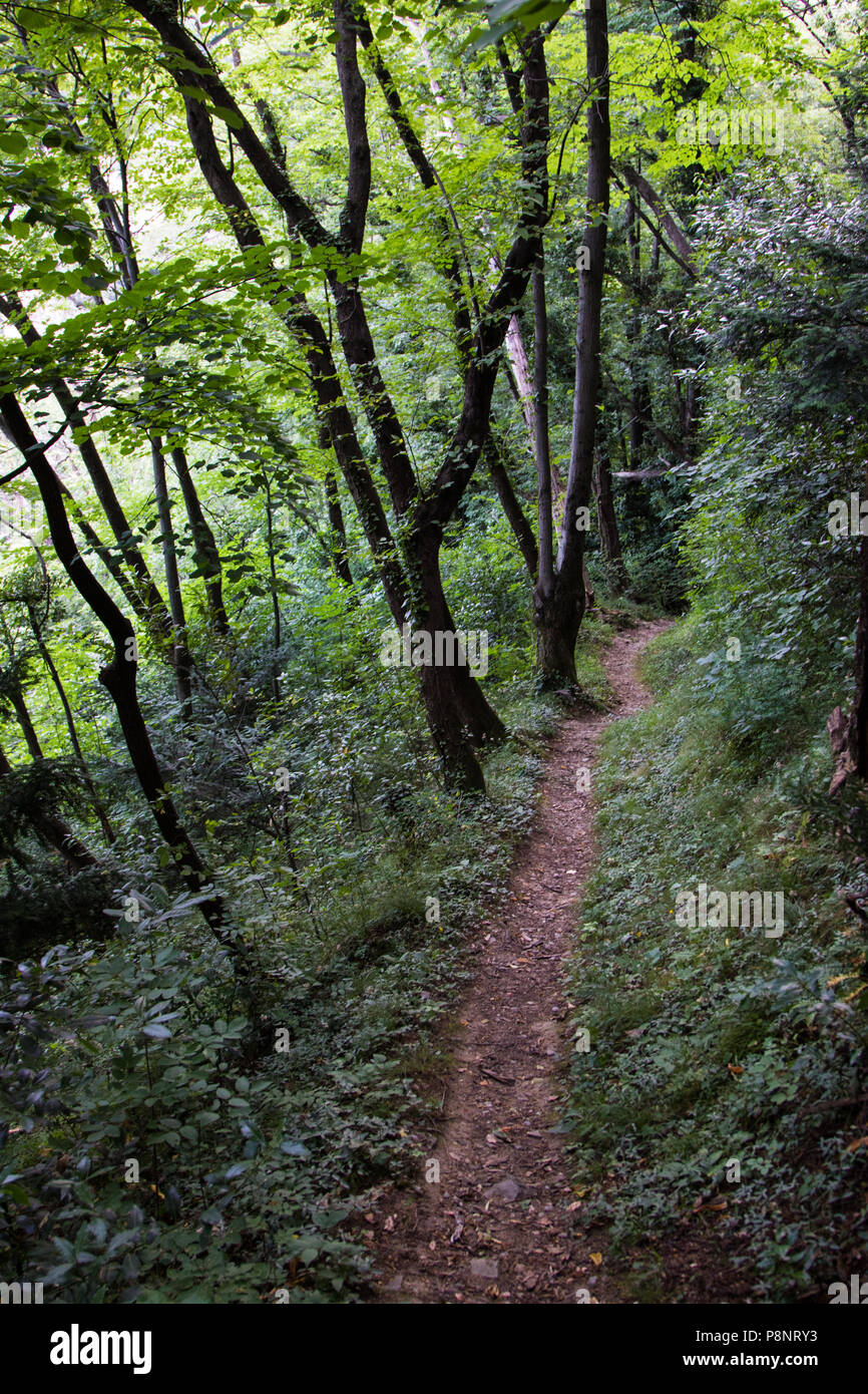 Single track path winds hi-res stock photography and images - Alamy