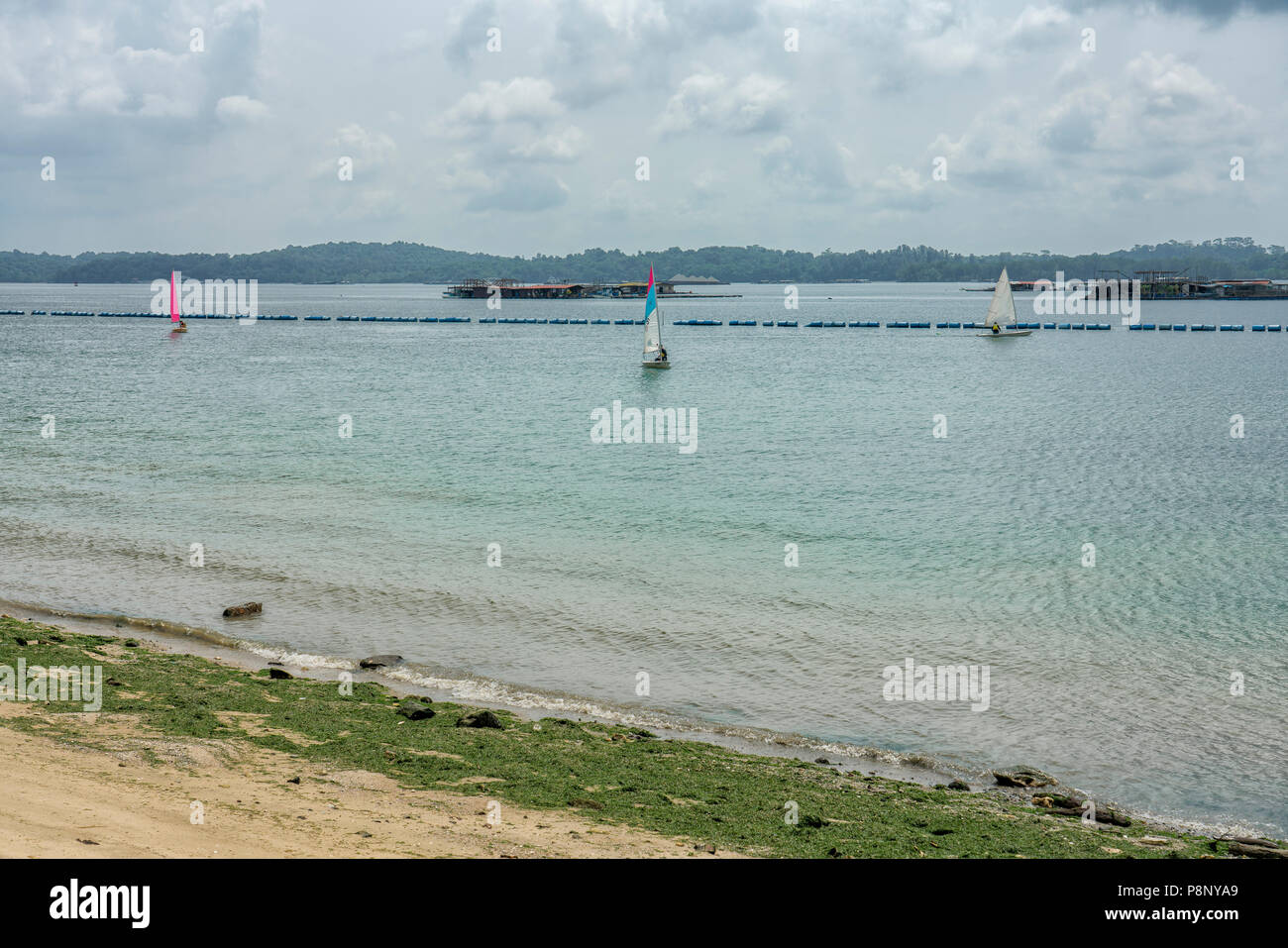 Singapore - July 8,2018: Pasir Ris Park . Sailing in calm water ...