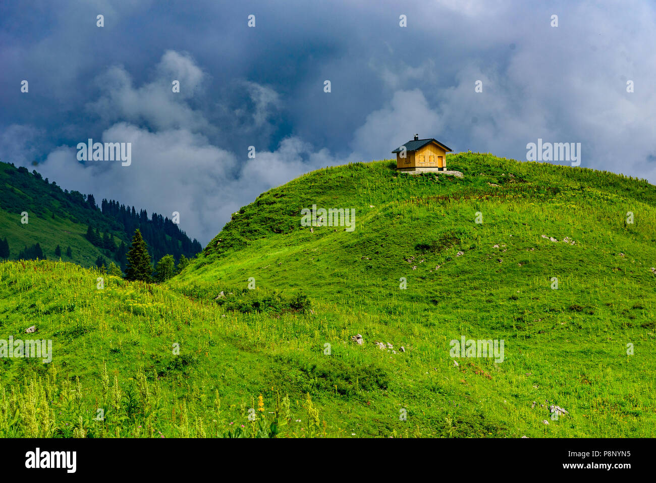 Mountain Scenery in the Alps of Austria - Hiking in the highland of ...