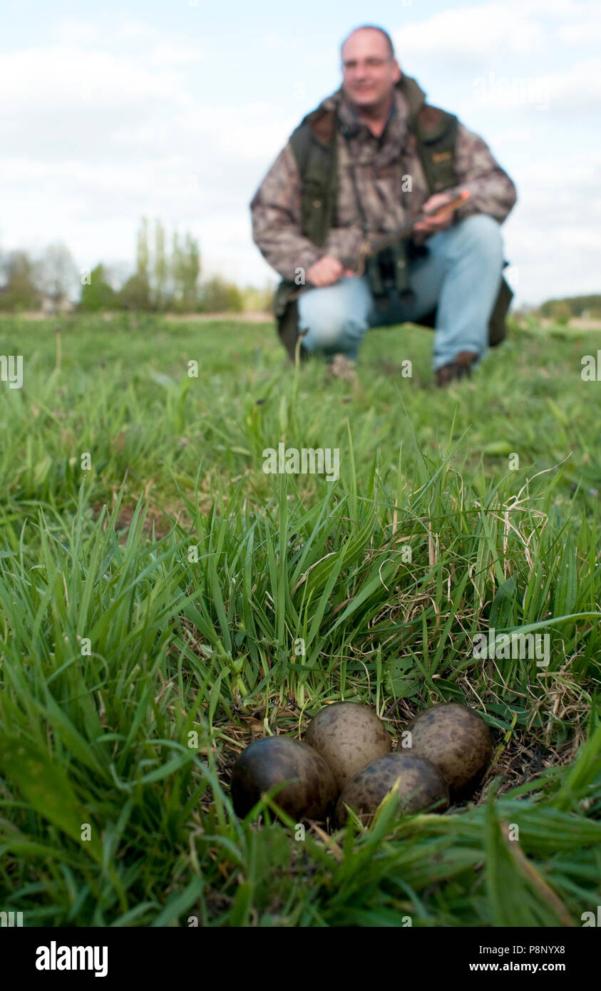 Nest marking hi-res stock photography and images - Alamy