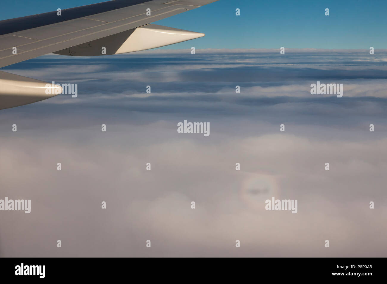 Glory with aircraft shadow in the center Stock Photo - Alamy