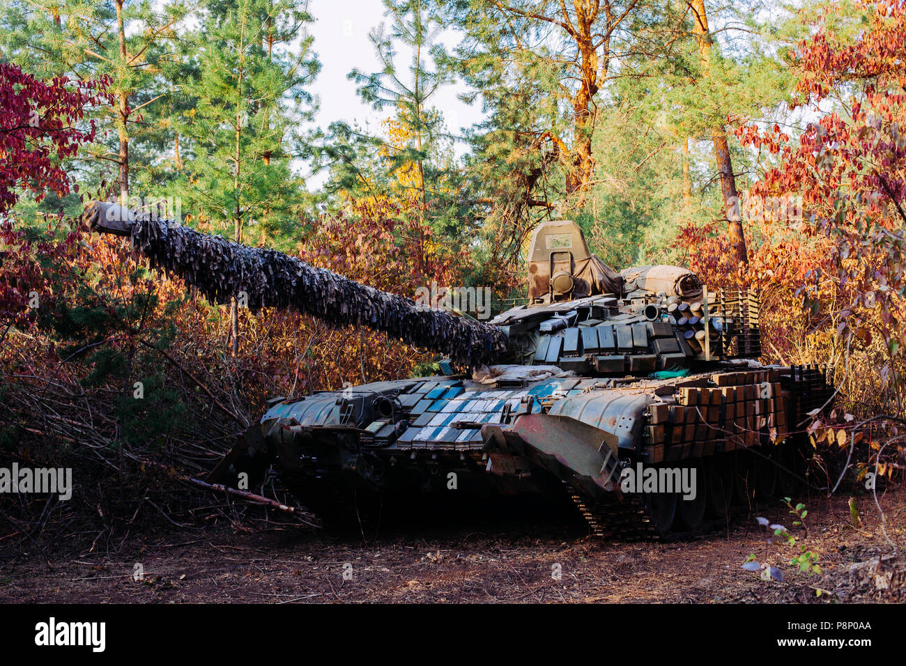 Camouflage hidden tank hi-res stock photography and images - Alamy