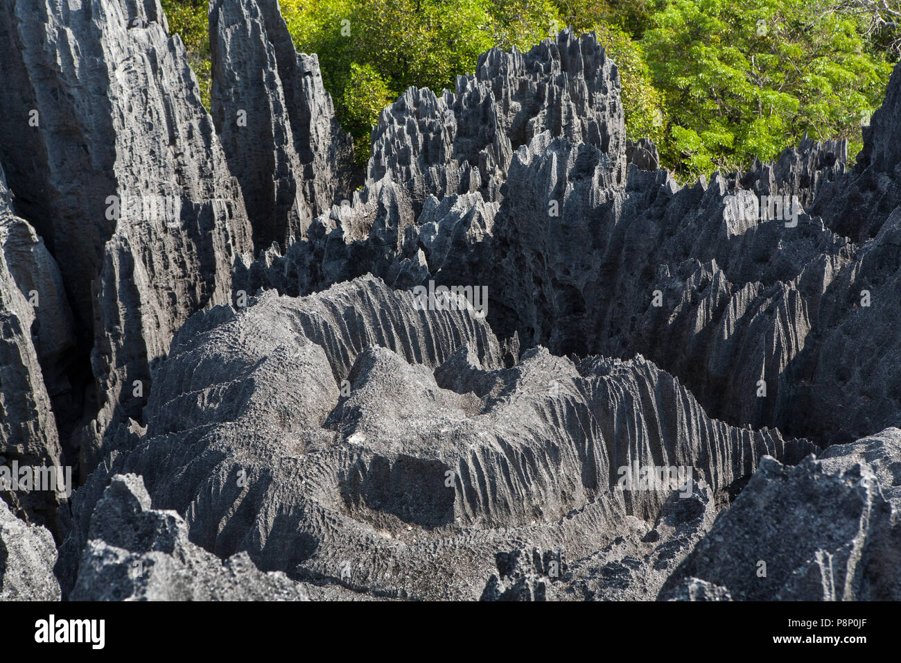 Madagascar madagascar hi-res stock photography and images - Alamy