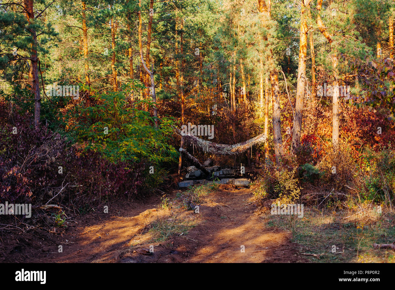 Camouflage hidden tank hi-res stock photography and images - Alamy