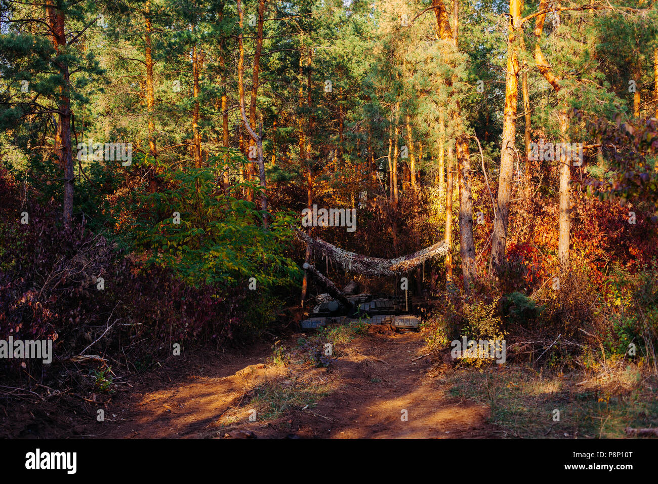 Camouflage hidden tank hi-res stock photography and images - Alamy