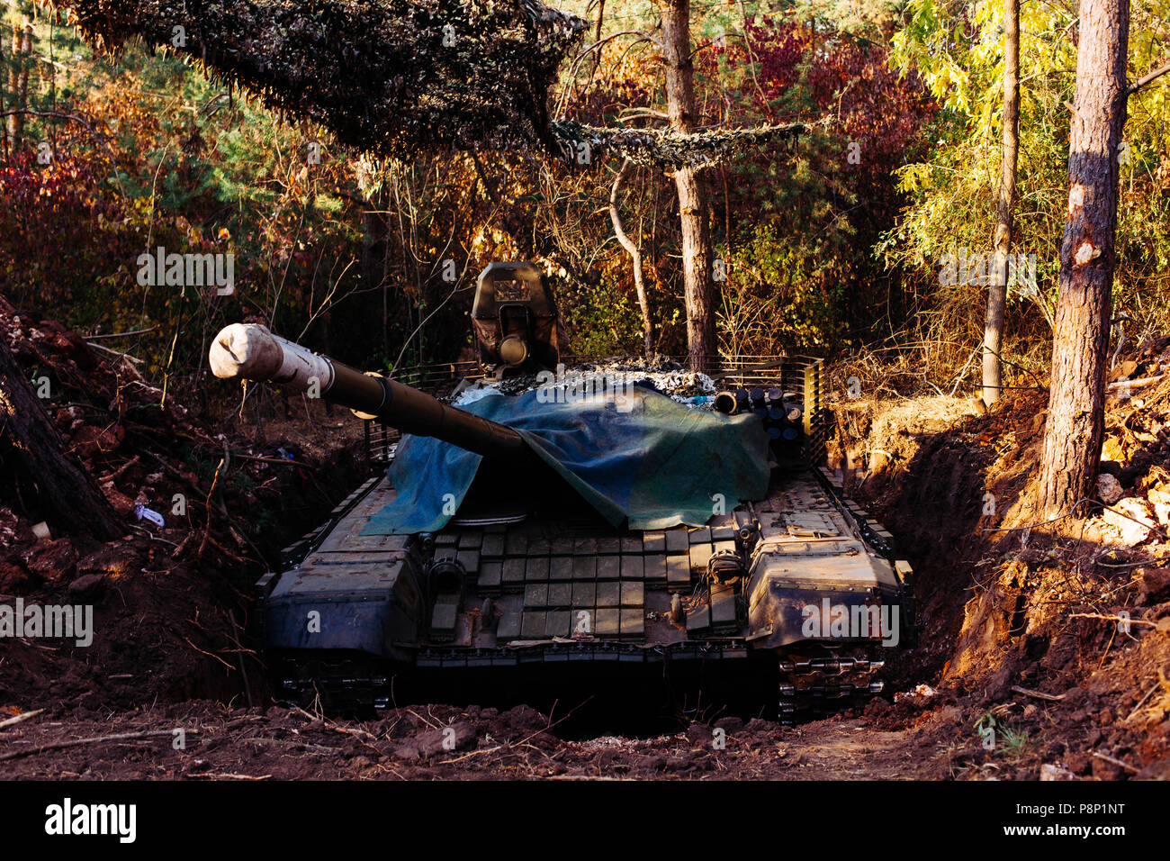 Camouflage hidden tank hi-res stock photography and images - Alamy