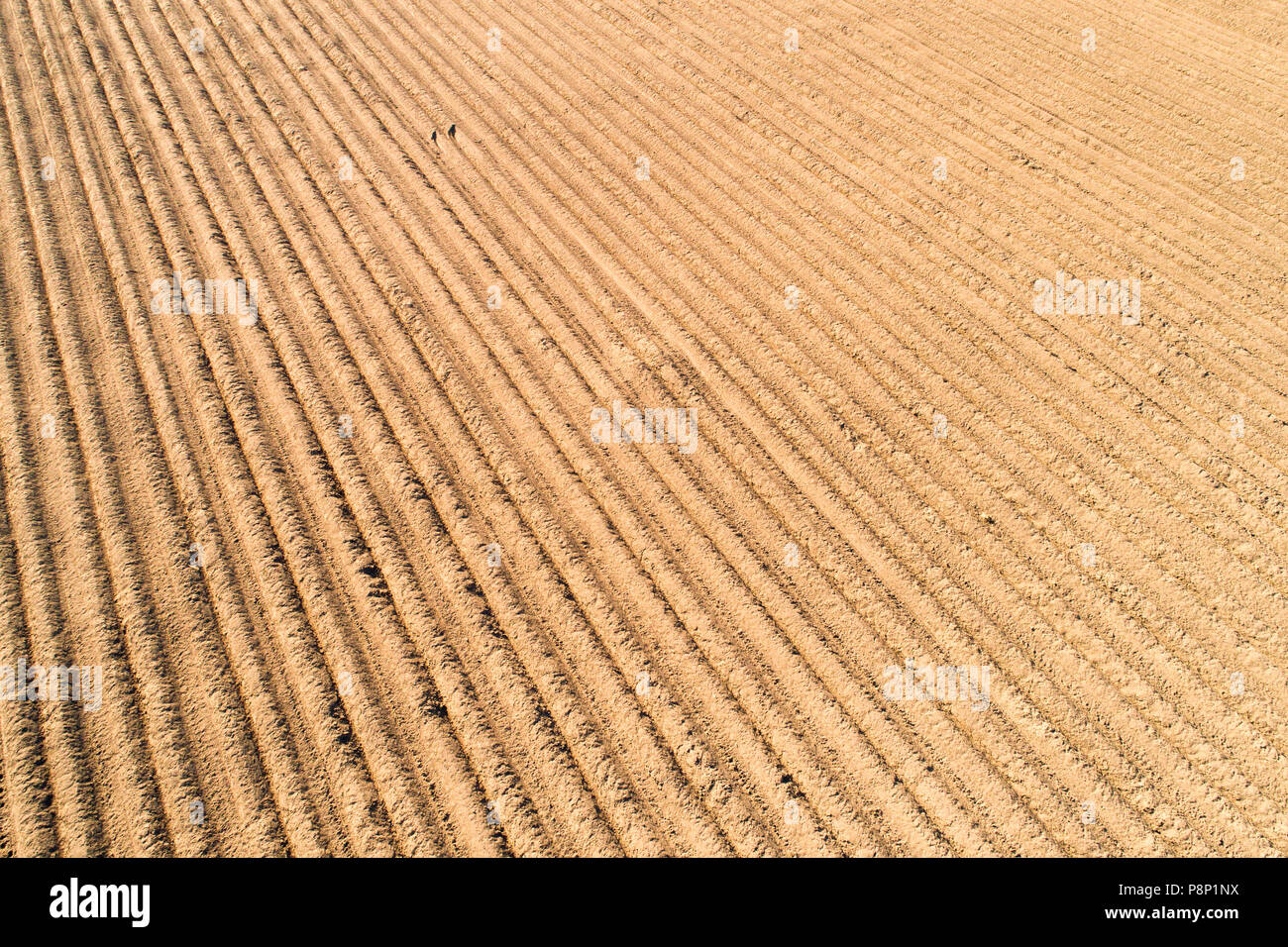 Plowed soil texture hi-res stock photography and images - Alamy