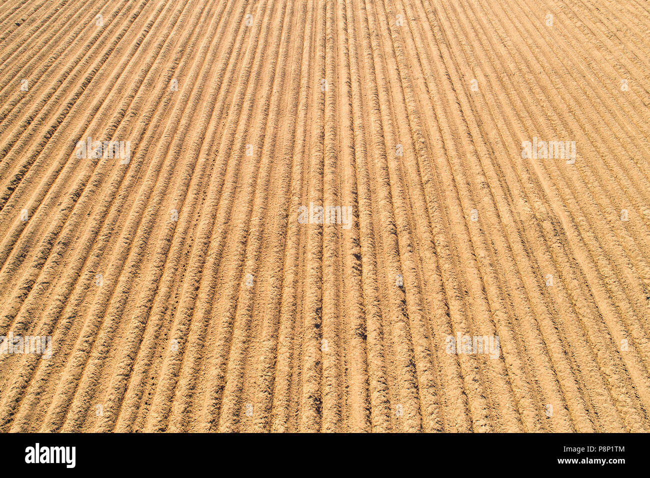Potato and soil texture hi-res stock photography and images - Alamy