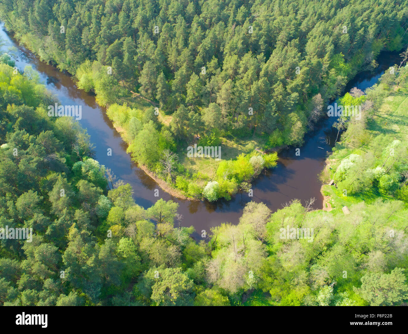 River in smile form in green forest aerial view. Summer landscape Stock ...