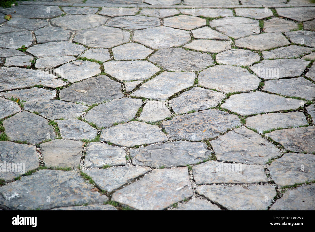 Crazy paving shot as a texture background Stock Photo - Alamy