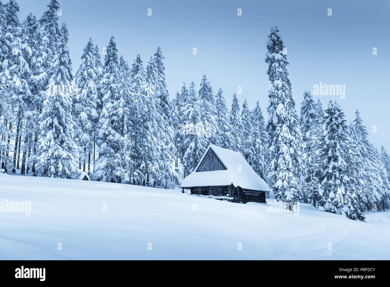 Blue color in nature hi-res stock photography and images - Alamy