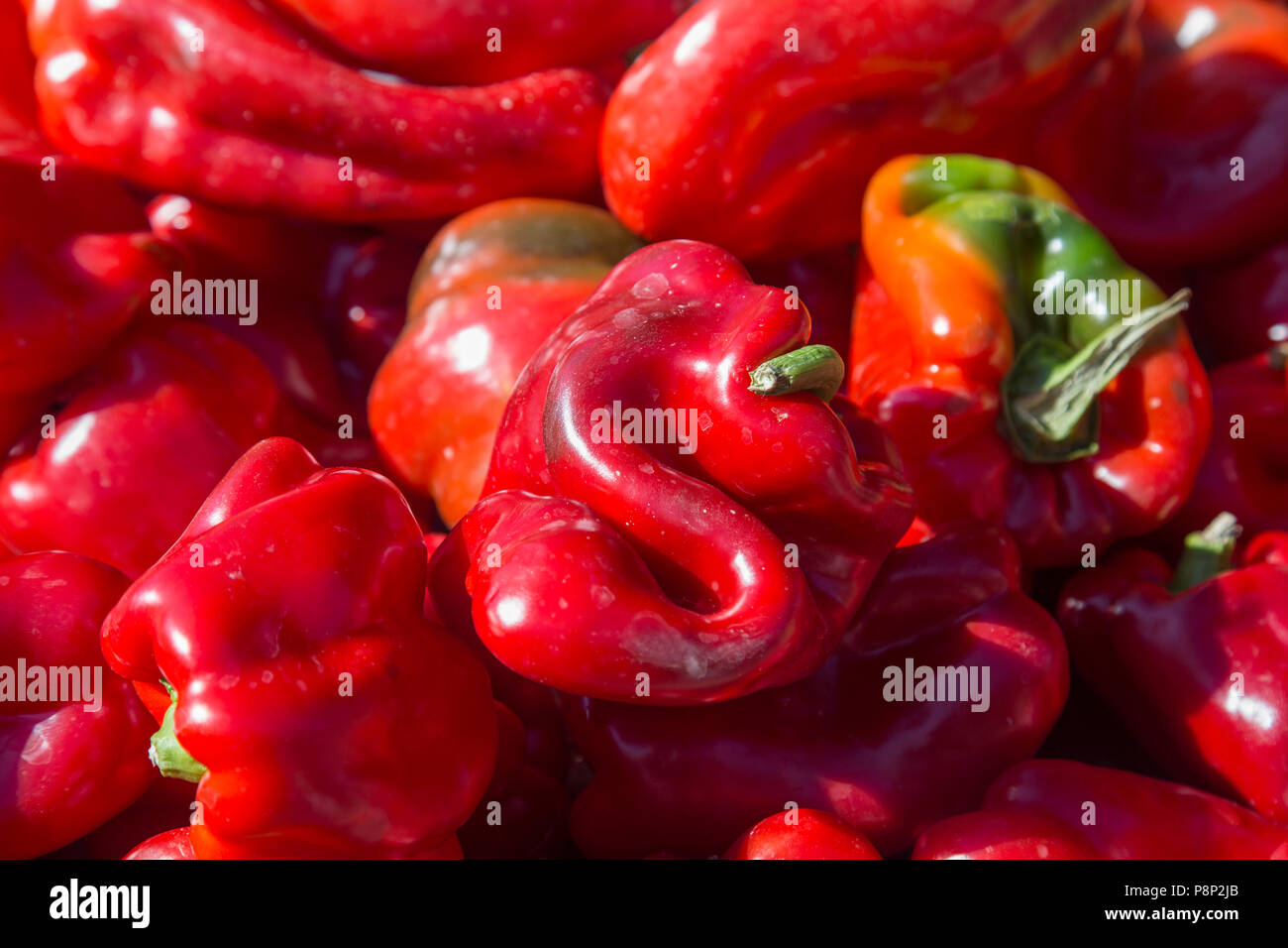 Waxy pepper hi-res stock photography and images - Alamy