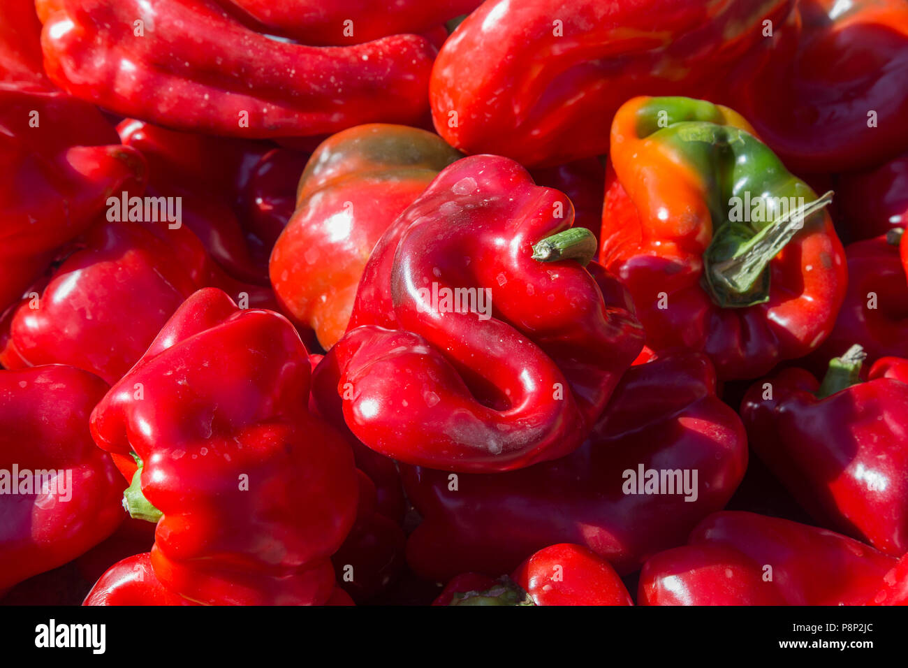 Waxy pepper hi-res stock photography and images - Alamy