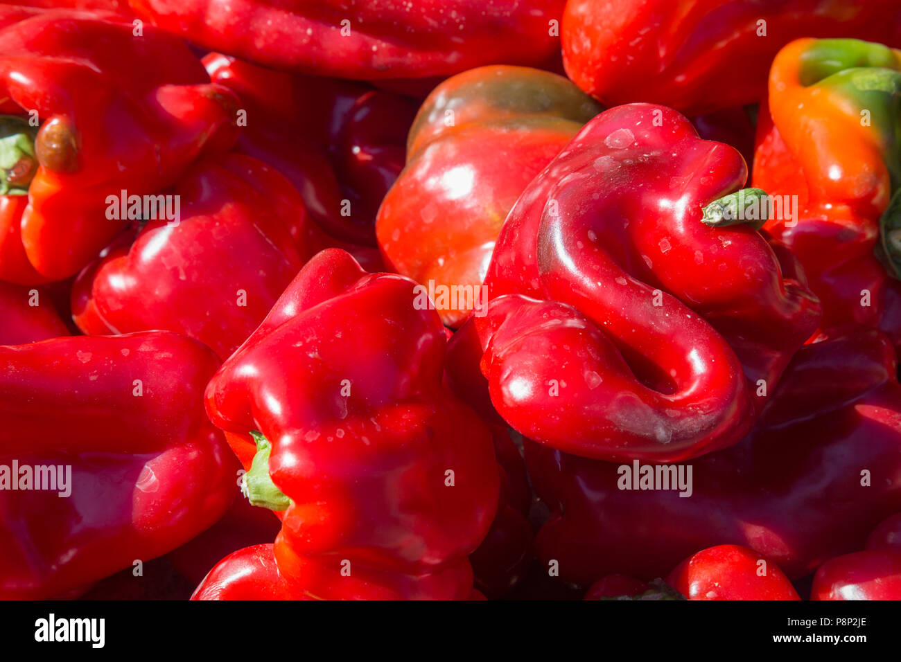 Waxy pepper hi-res stock photography and images - Alamy