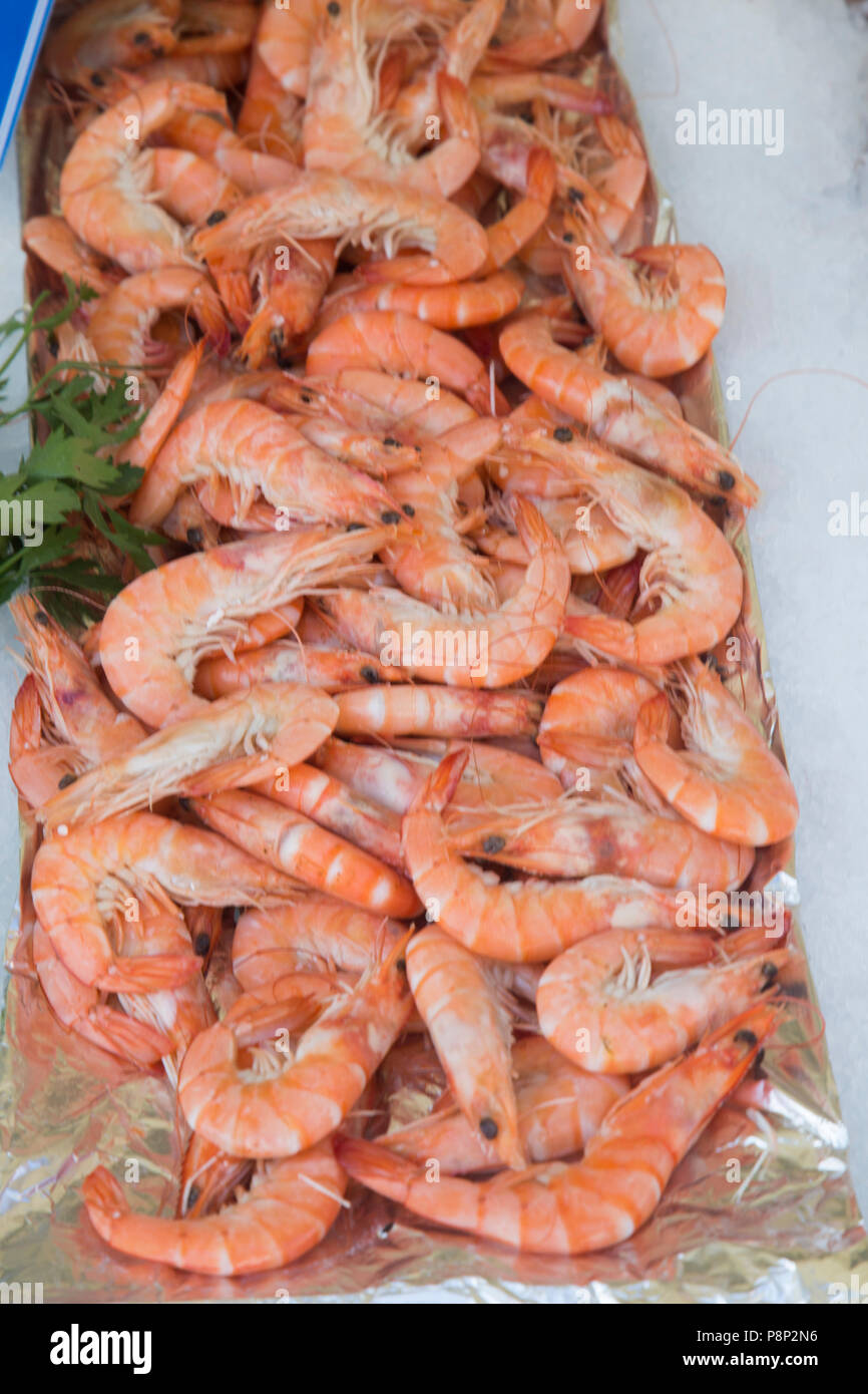 Large prawns hi-res stock photography and images - Alamy