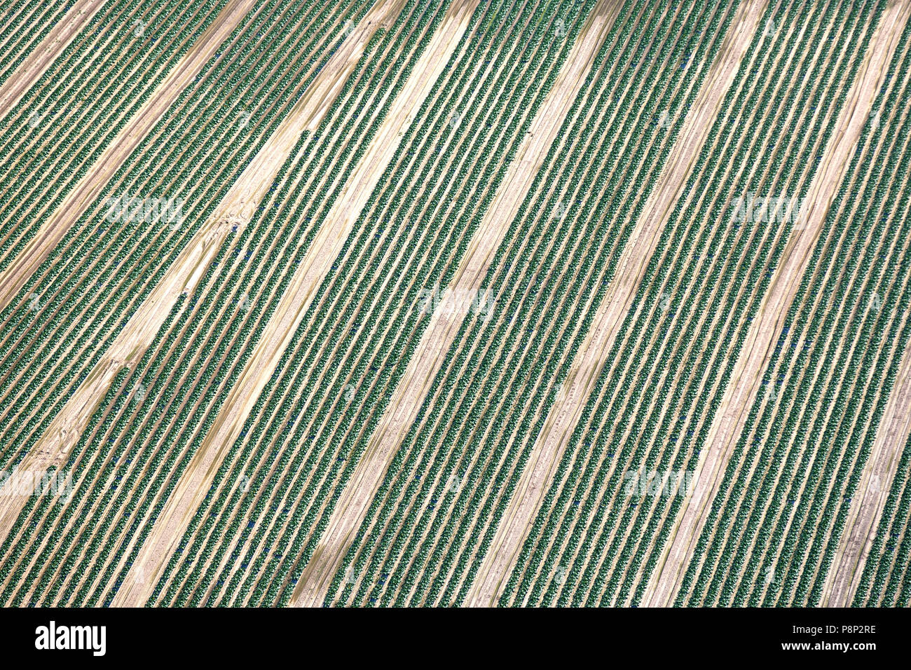Aerial of an agricultural field Stock Photo - Alamy