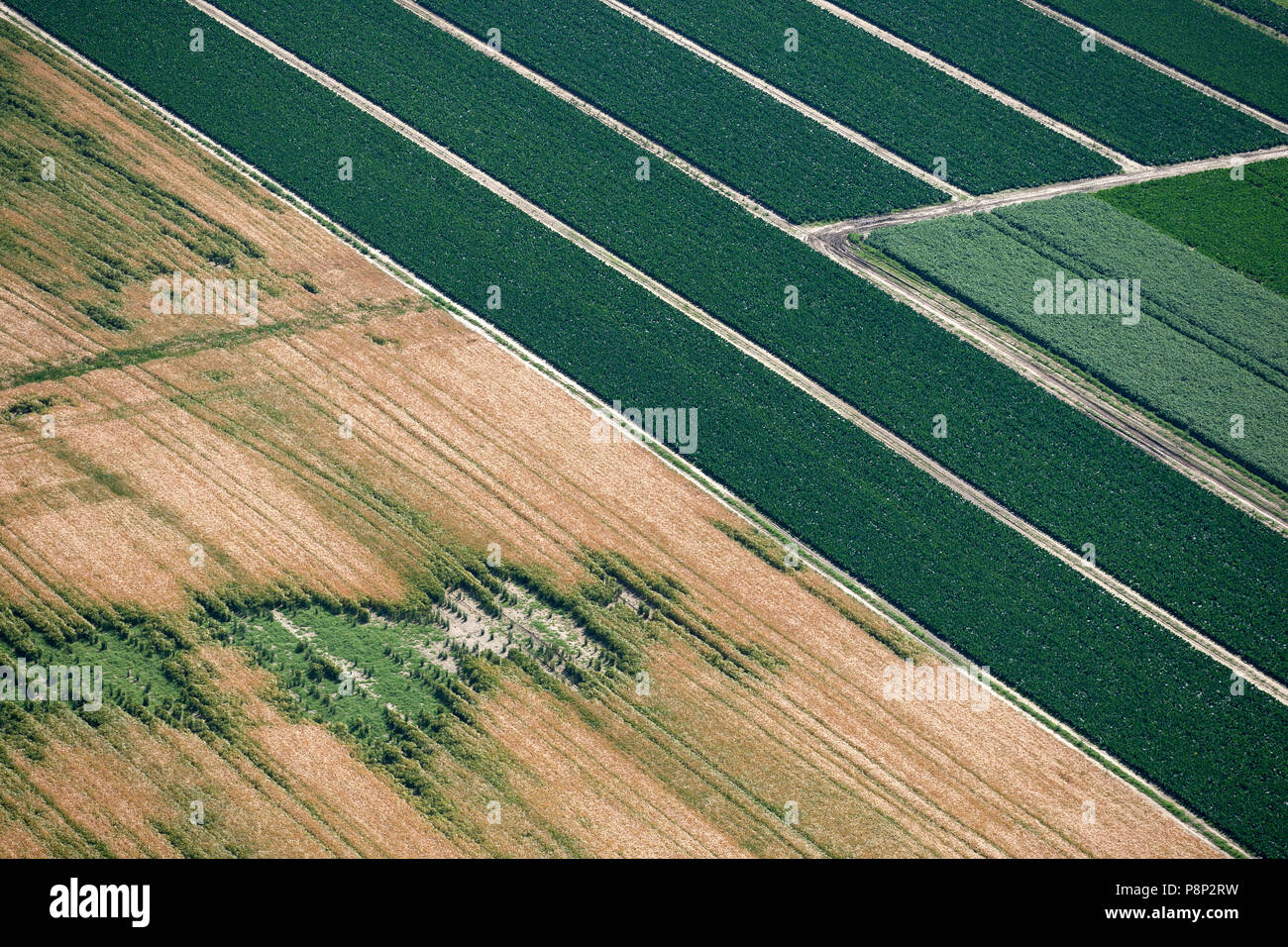 Aerial of an agricultural field Stock Photo - Alamy
