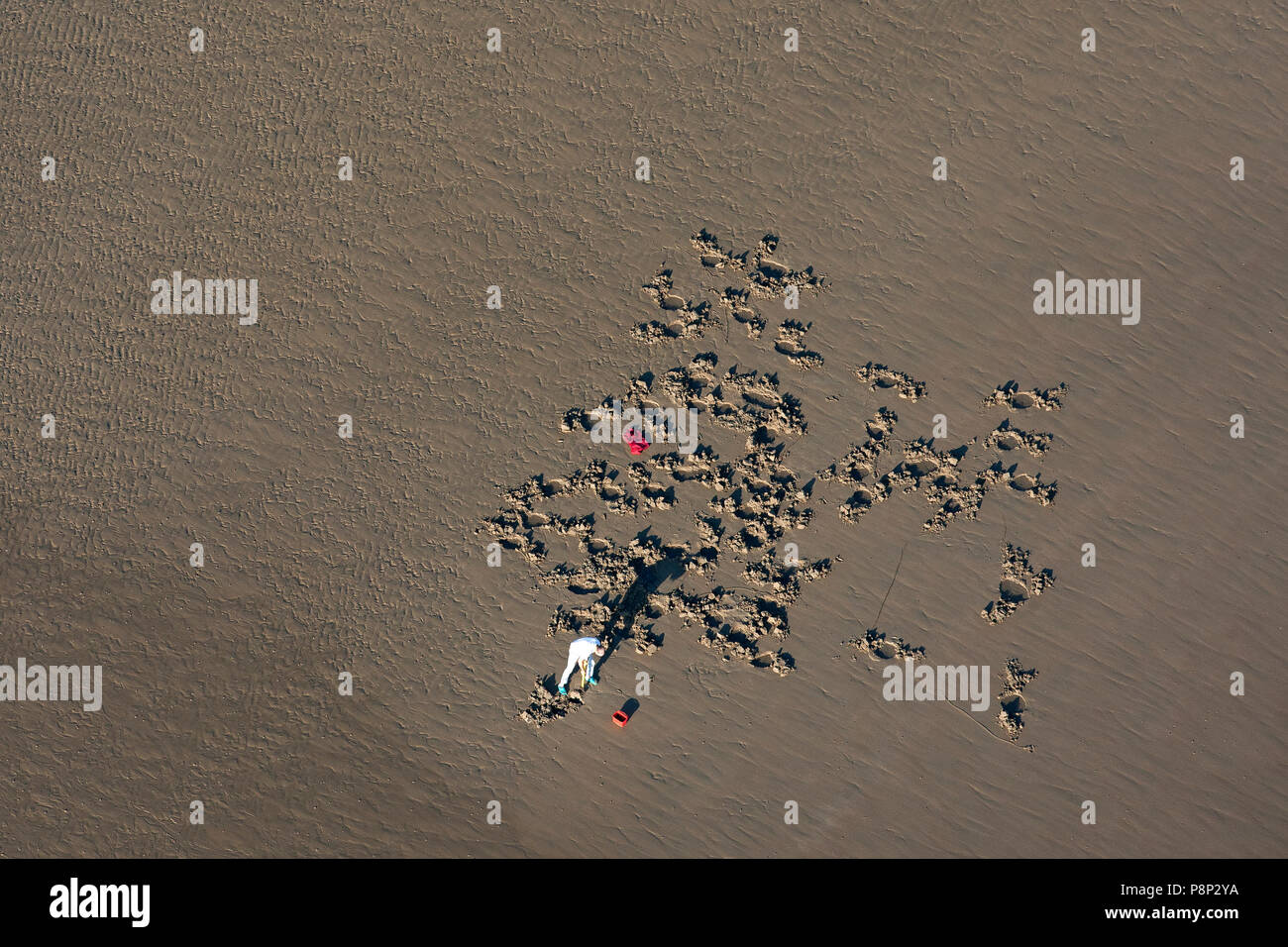 Aerial of a man digging for worms on the beach Stock Photo - Alamy