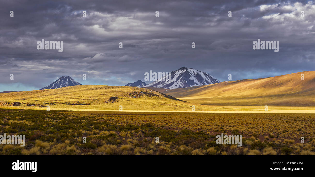 Evening mood over landscape with puna grassland and volcano's Stock ...