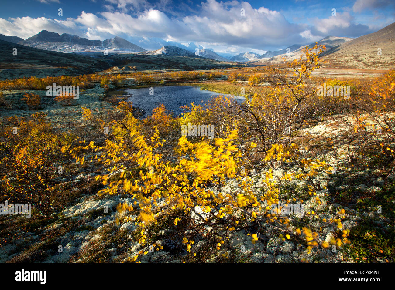 Rondane national parc Stock Photo - Alamy