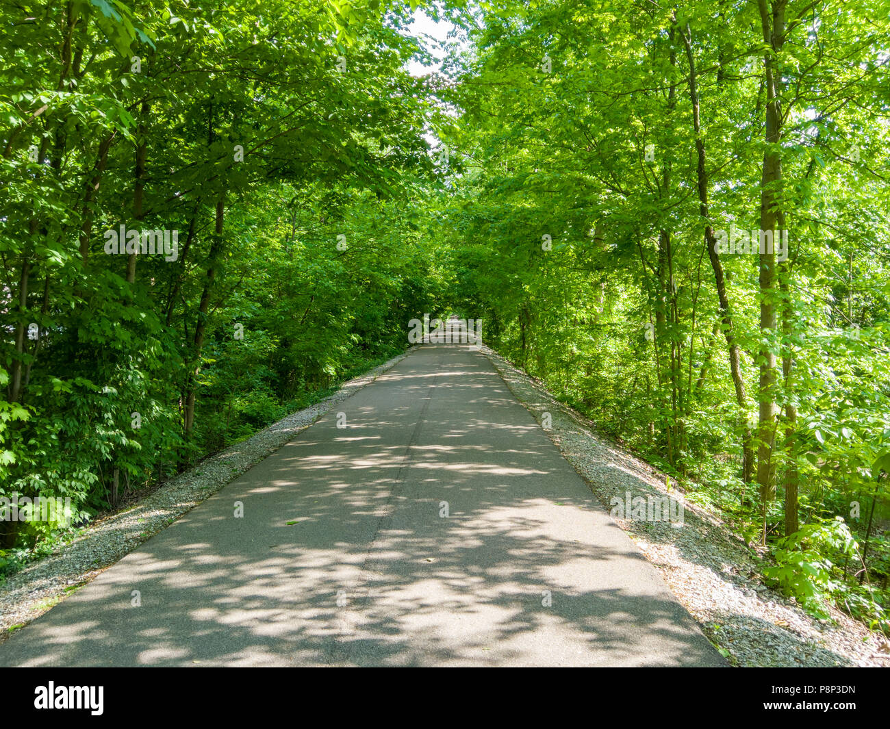 Wooded tree line hi-res stock photography and images - Alamy